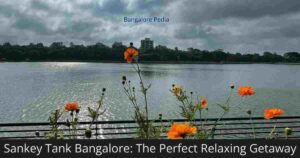 Sankey Tank Bangalore: Most Visited Lake In Bangalore - Bangalore Pedia